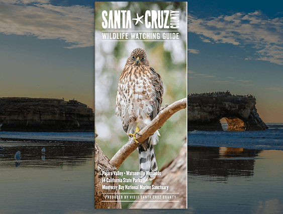 FREE Santa Cruz County Birding and Wildlife Watching Guide - Hunt4Freebies