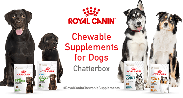 FREE Royal Canin Chewable Supplements for Dogs Chatterbox Pack ...
